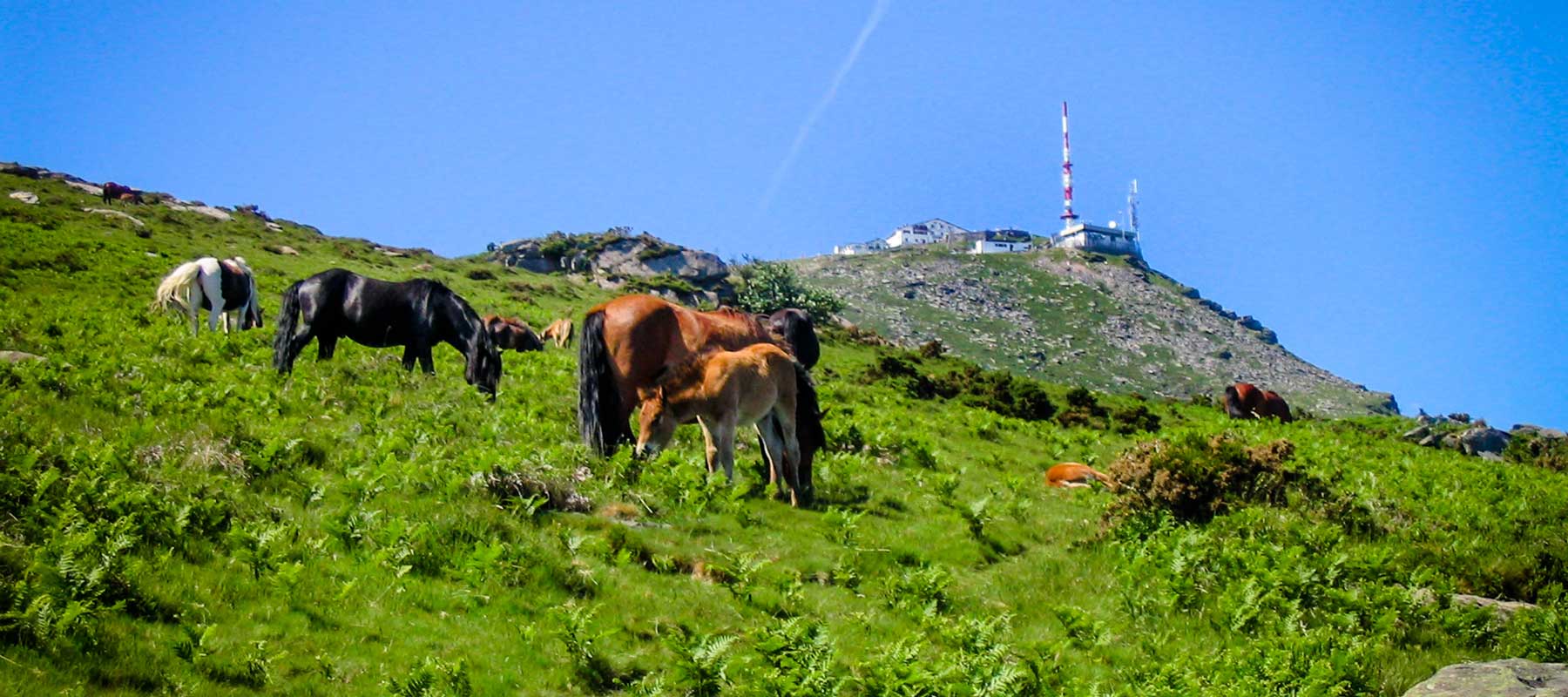 Camping Pays Basque 4 étoiles : camping à Urrugne vers Ciboure et Socoa